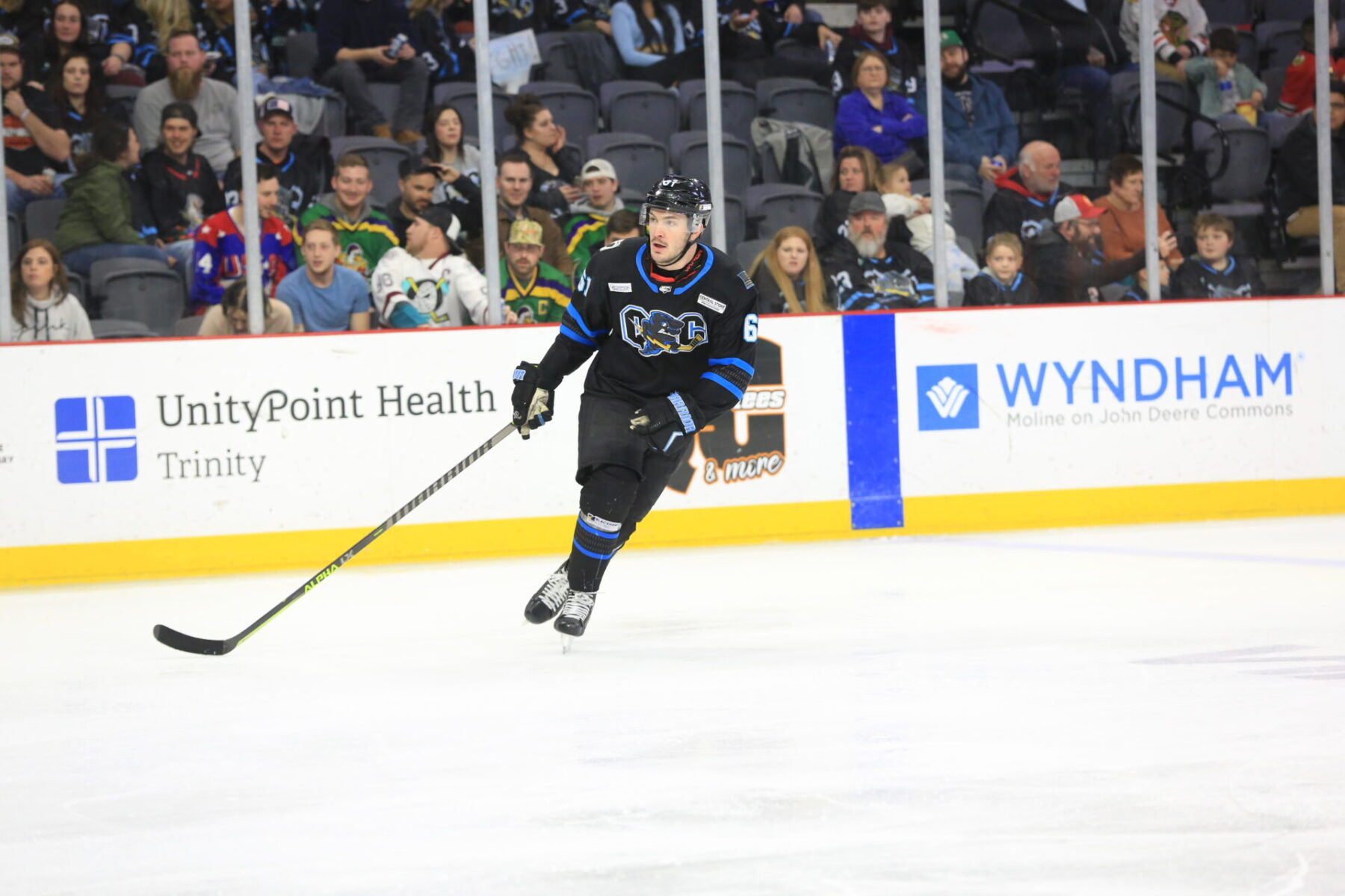 Quad City’s Michael Moran named Warrior/SPHL Player of the Week | SPHL